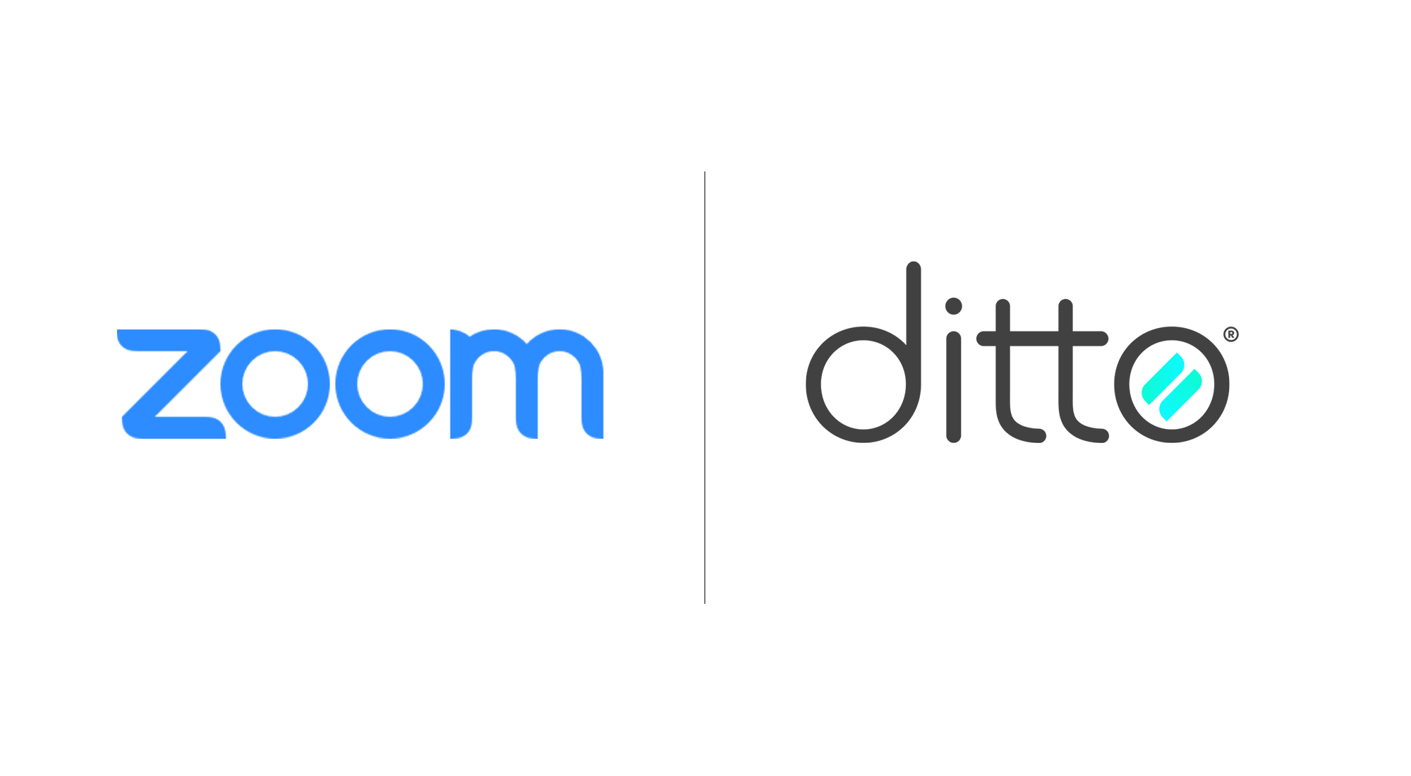 Ditto vs. Zoom Rooms | DSD - Your Business Technology Distributor Australia